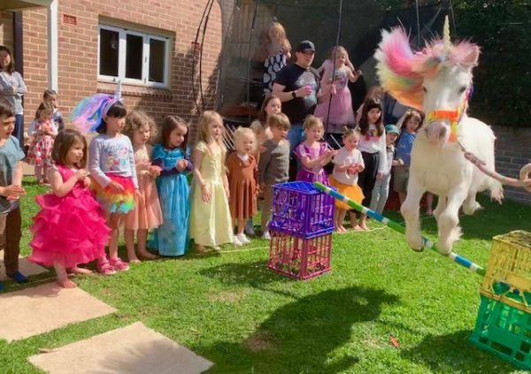Unicorn Experience - Fun Day Out